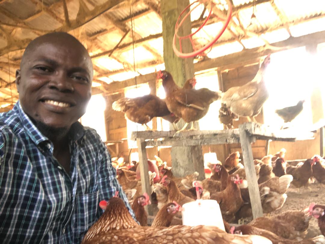 Feed Salone – For a food-secure and prosperous Sierra Leone